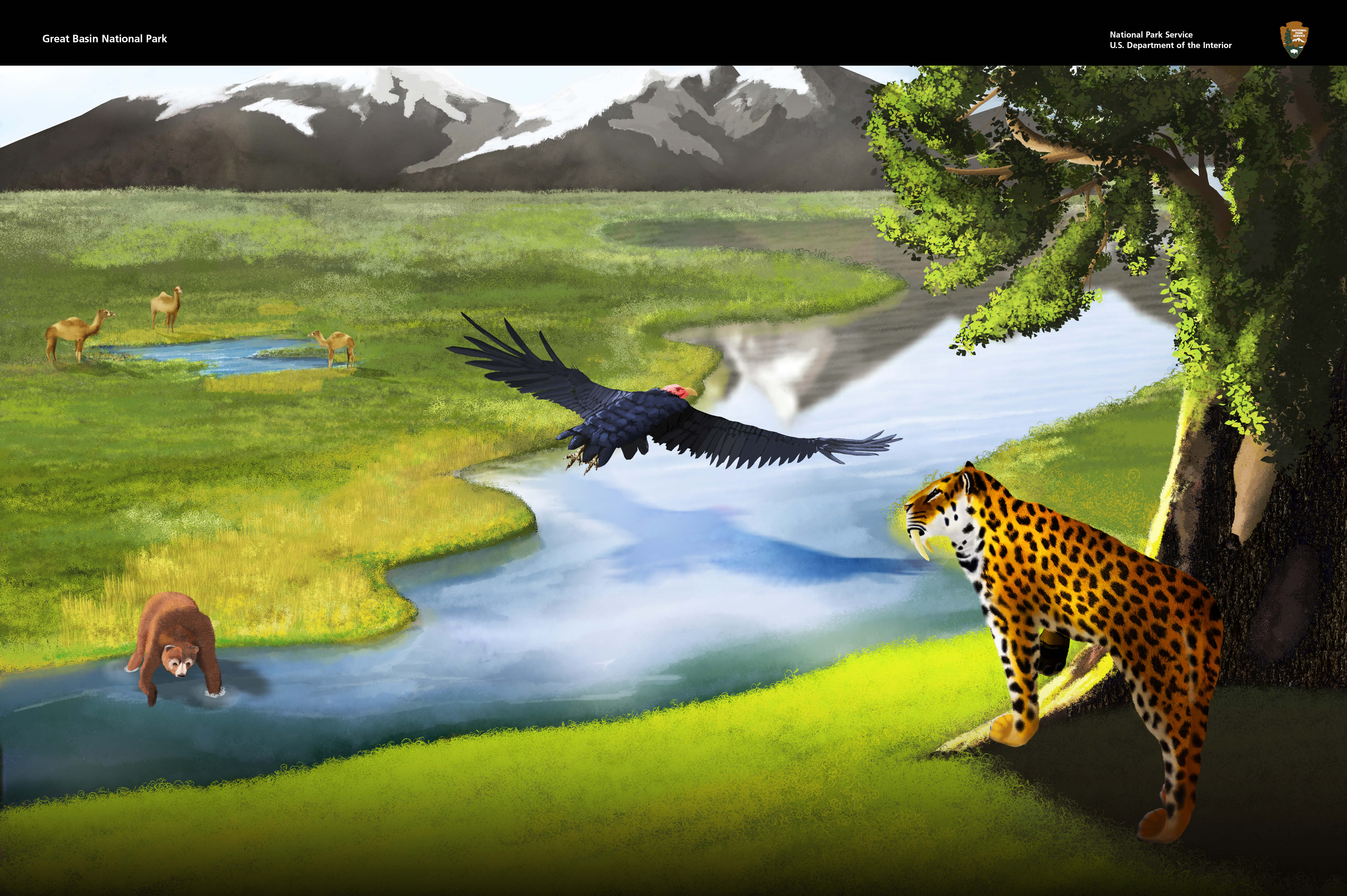 Paleontology - Great Basin National Park (U.S. National Park Service)