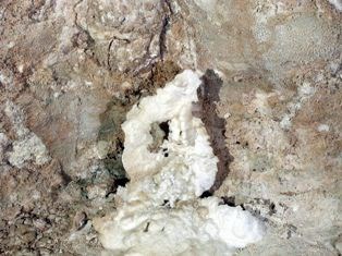 Gypsum Formations - Great Basin National Park (U.S. National Park Service)