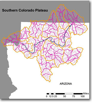 A Study of Seeps and Springs - Grand Canyon National Park (U.S ...