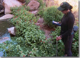 A Study of Seeps and Springs - Grand Canyon National Park (U.S ...