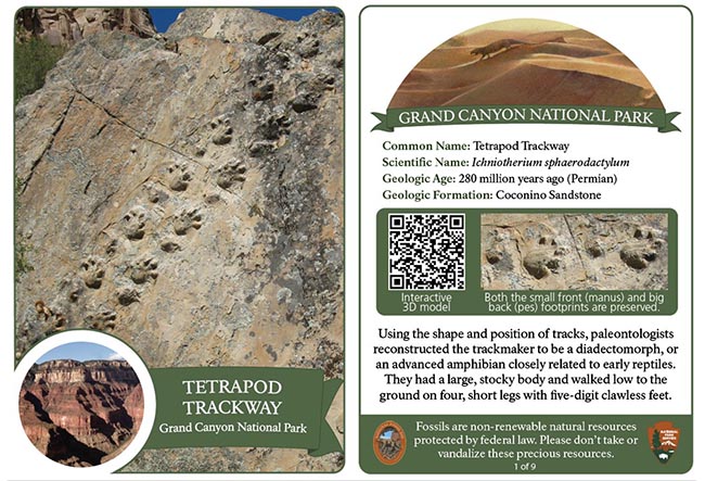 2019 National Fossil Day Celebration - Grand Canyon National Park (U.S ...