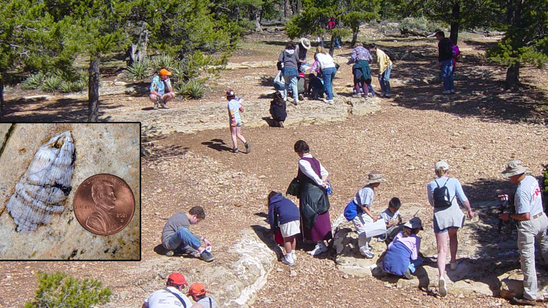 South Rim Village - Ranger Programs - Grand Canyon National Park (U.S ...