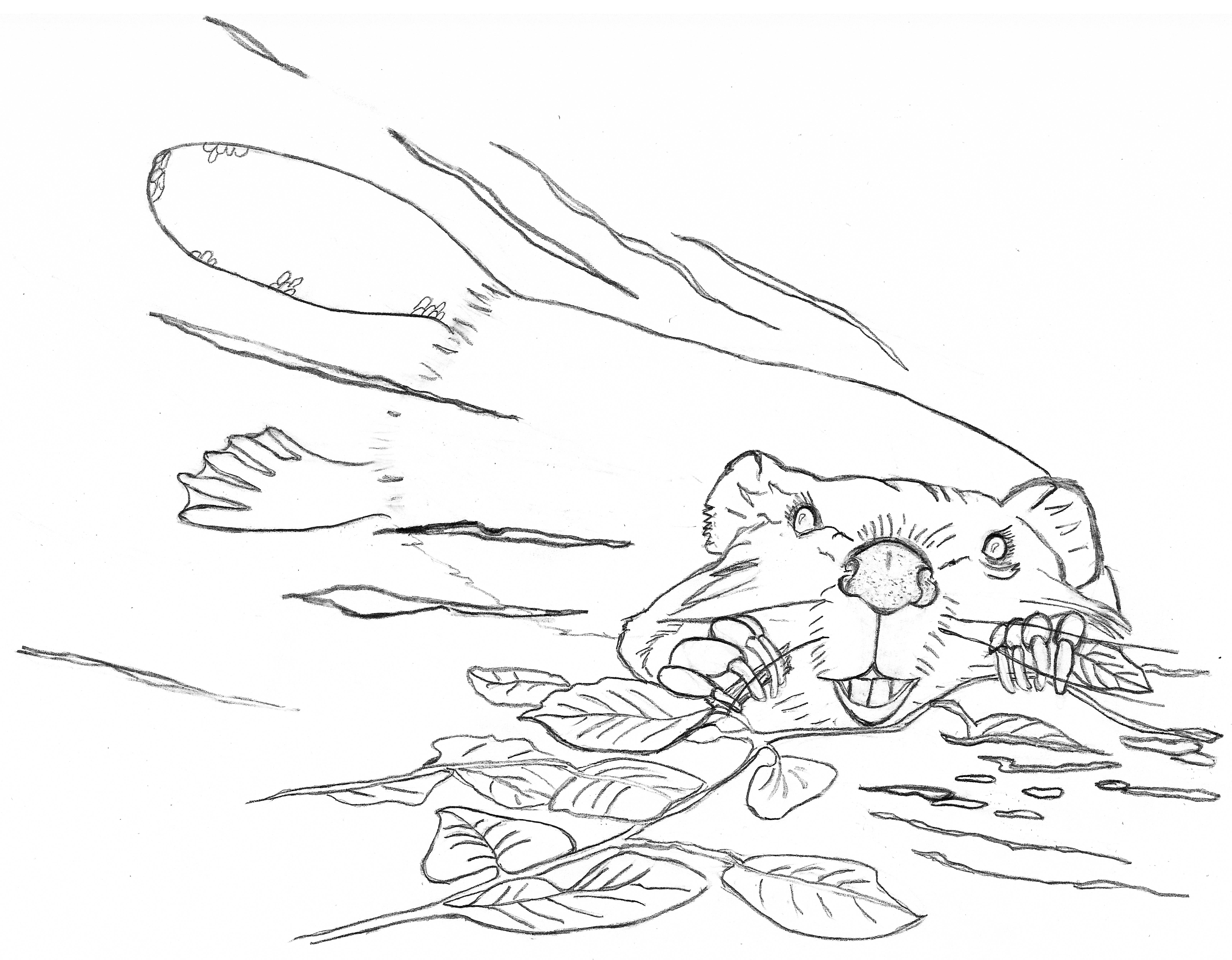 Coloring Pages - Grand Portage National Monument (U.S. National Park ...