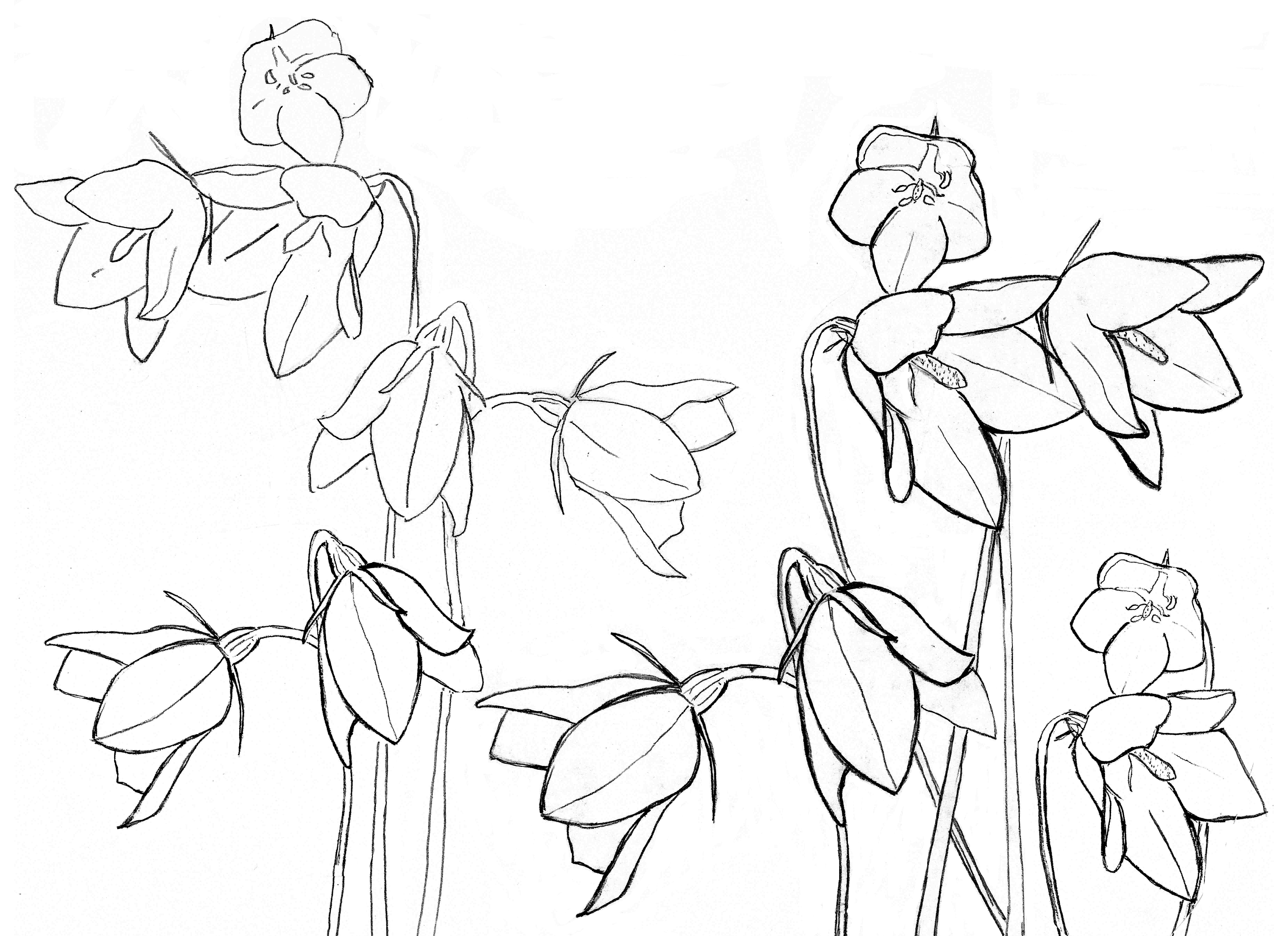 Coloring Pages - Grand Portage National Monument (U.S. National Park ...