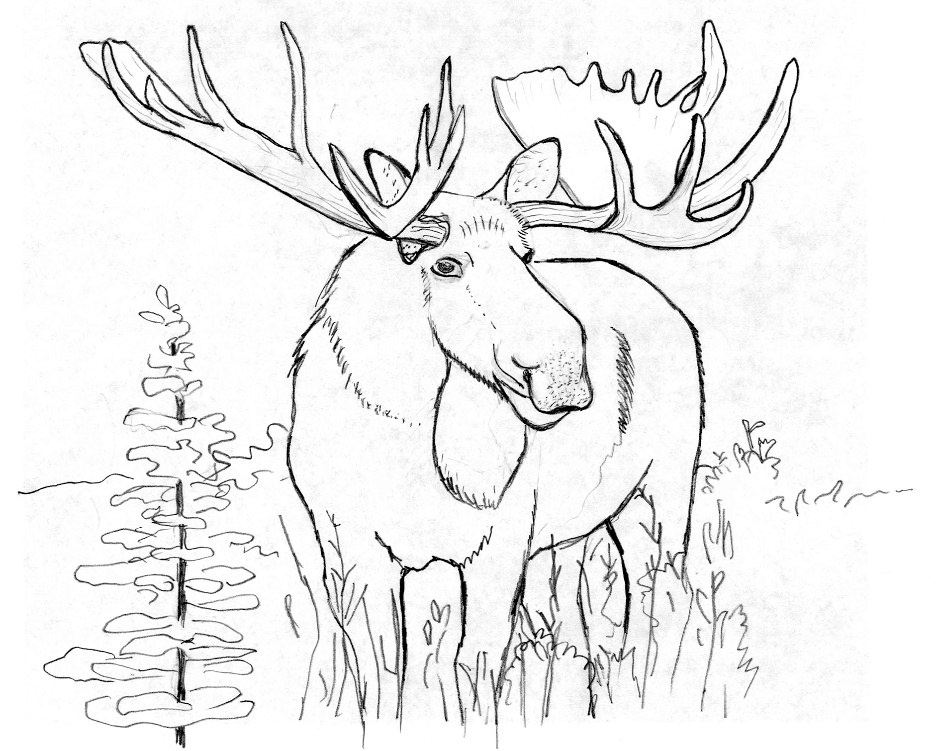 Minnesota Coloring Pages For Kids