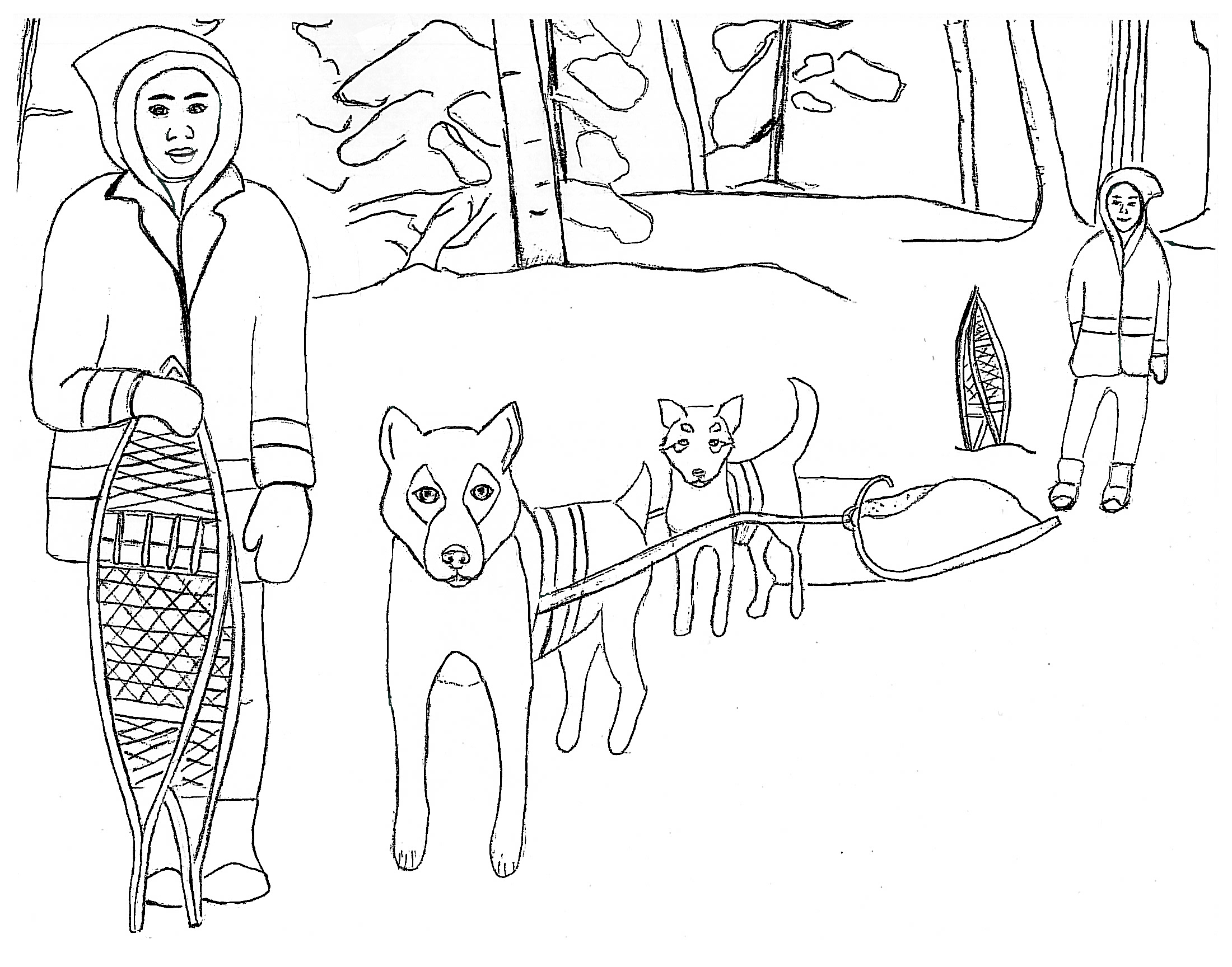 Sled Dog Coloring Pages