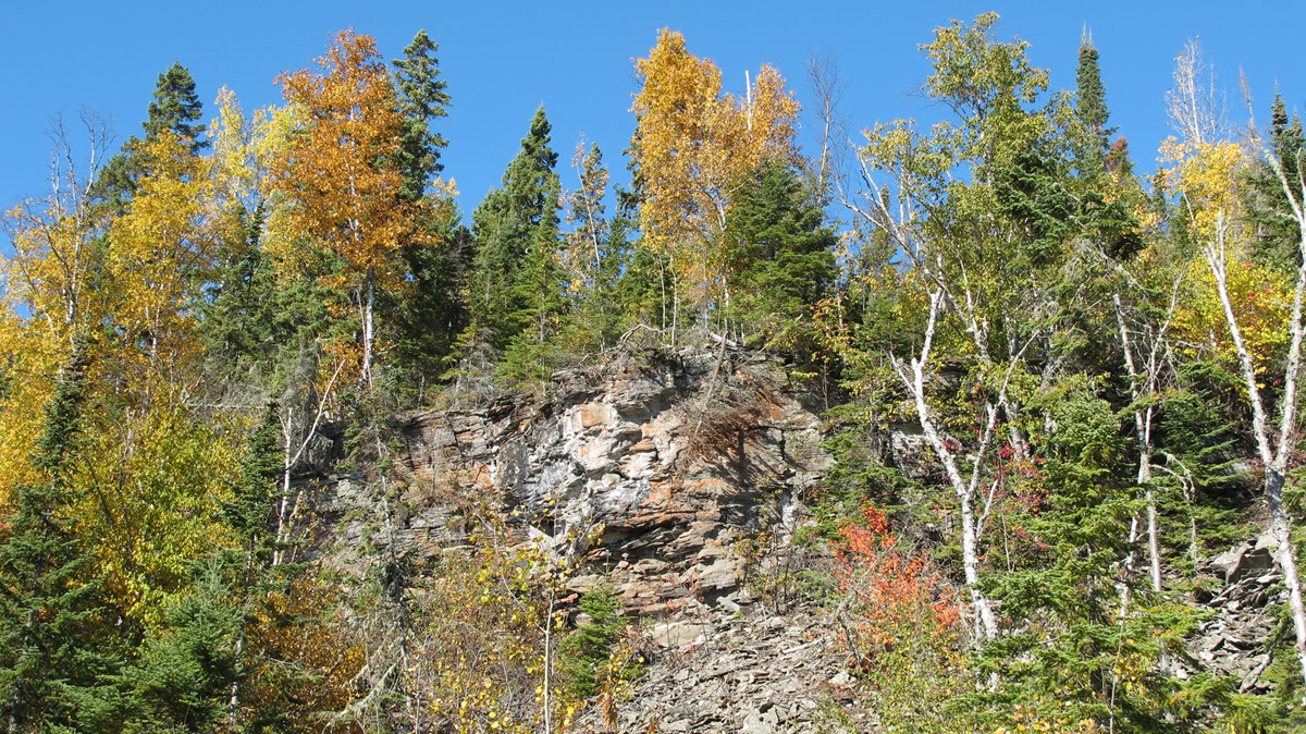 Plants - Grand Portage National Monument (U.S. National Park Service)