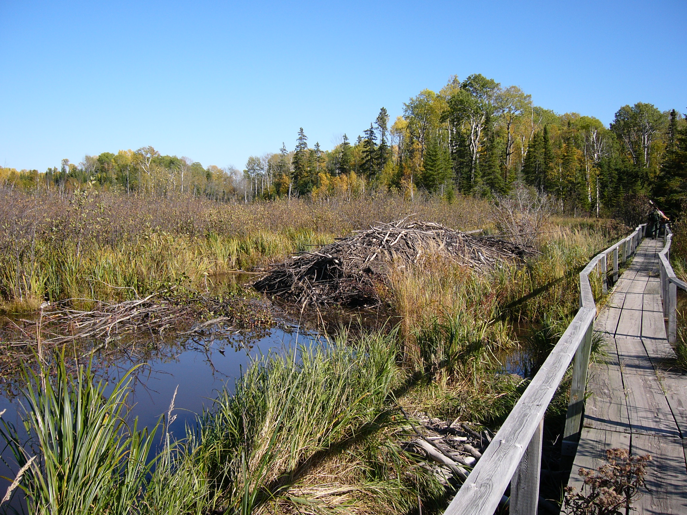 Grand Portage Trail - Grand Portage National Monument (U.S. National ...