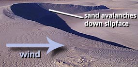 Dune Types - Great Sand Dunes National Park & Preserve (U.S. National ...