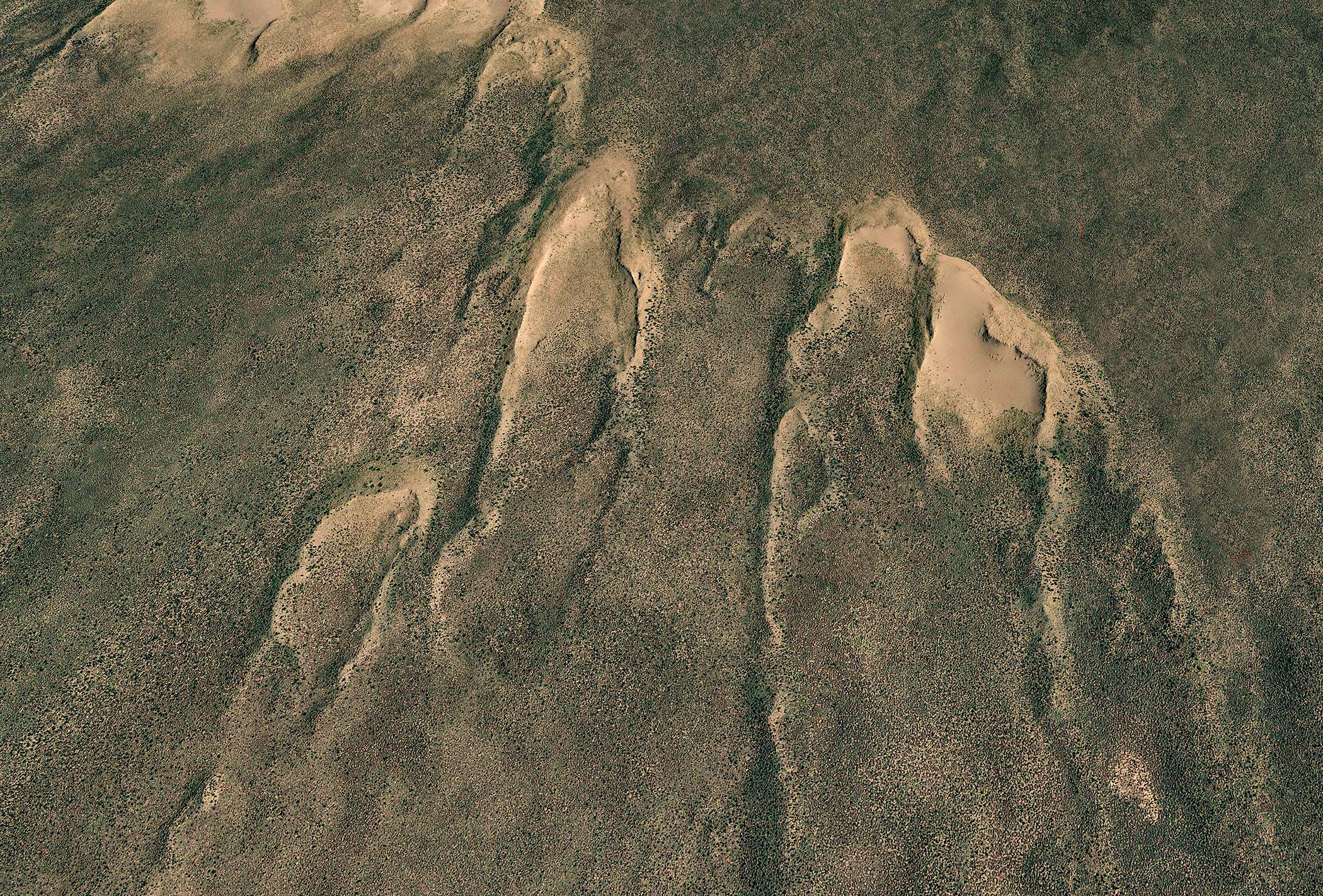 Dune Types - Great Sand Dunes National Park & Preserve (U.S. National ...