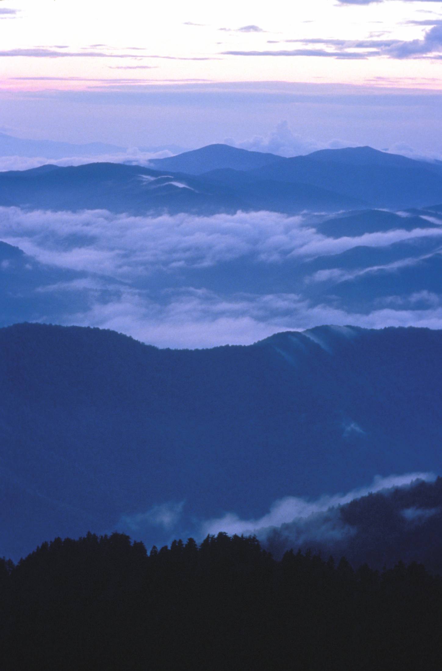 The Creative-Native Project: The Great Smokies