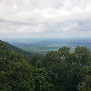Tennessee 6-8th Grade Ranger-Led Field Trips - Great Smoky Mountains ...