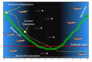 Acid Deposition to Watersheds - Great Smoky Mountains National Park (U ...