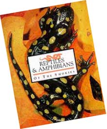 Amphibians - Great Smoky Mountains National Park (U.S. National Park ...