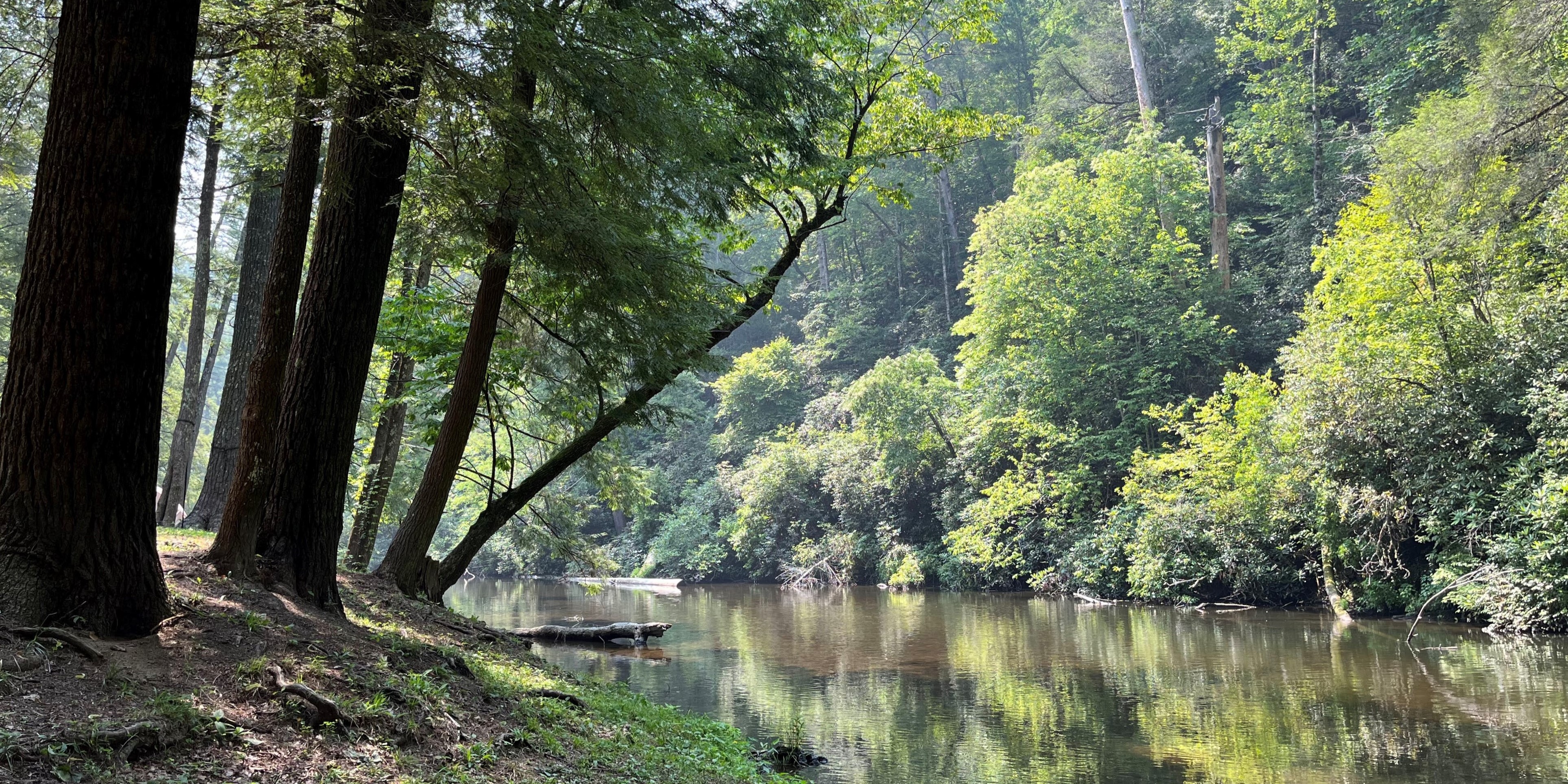 Abrams Creek & Look Rock Area - Great Smoky Mountains National Park (U ...