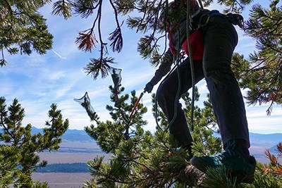 Nancy Bockino - Grand Teton National Park (U.S. National Park Service)