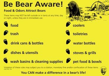 Camping in Bear Country - Grand Teton National Park (U.S. National Park ...