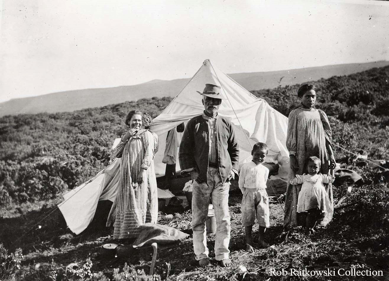 Haleakalā Highway - Haleakalā National Park (U.S. National Park Service)