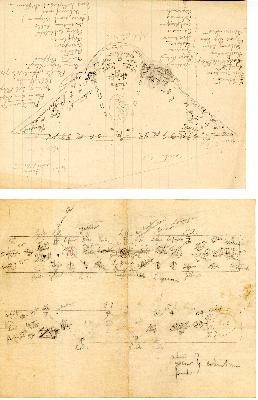 Helen-Naturalist Botanist - Hampton National Historic Site (U.S ...