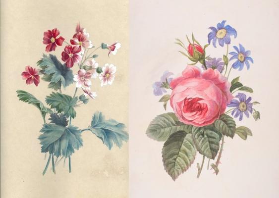 Helen-Naturalist Botanist - Hampton National Historic Site (U.S ...