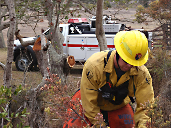 Fire Management - Hawaiʻi Volcanoes National Park (U.S. National Park ...