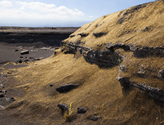 Pele's Hair - Hawaiʻi Volcanoes National Park (U.S. National Park Service)