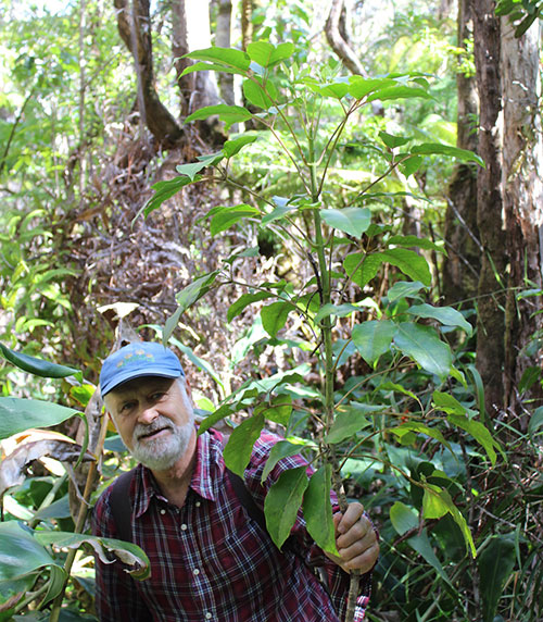 Hawai‘i Volcanoes National Park's December 2017 Events - Hawai'i ...