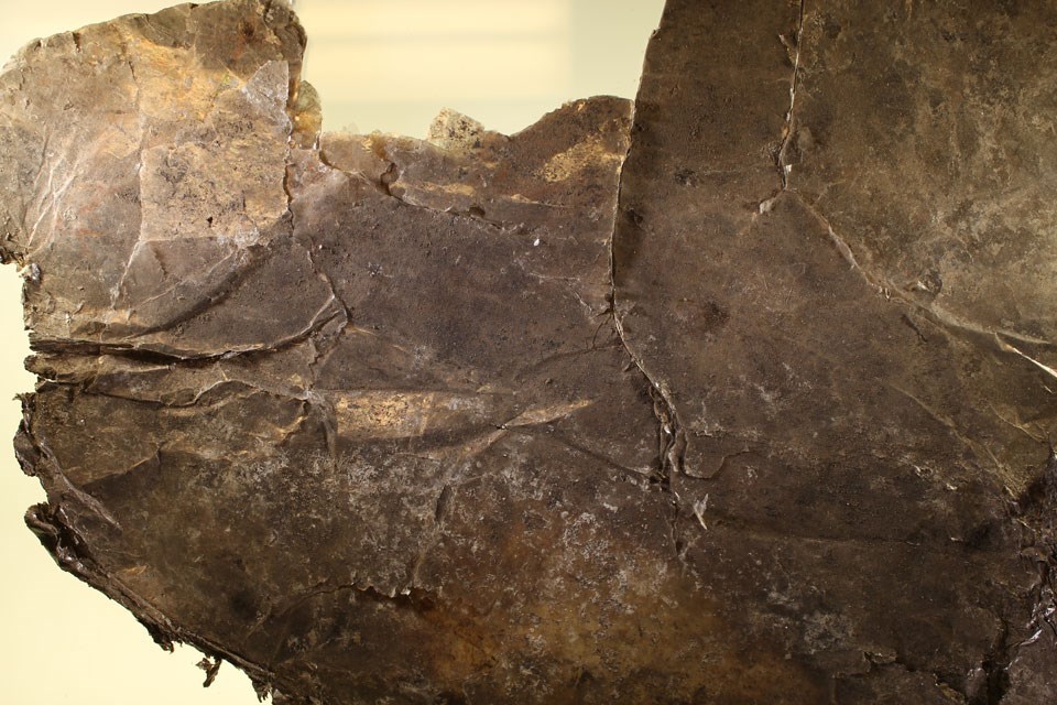 Hopewell Culture Mica (U.S. National Park Service)