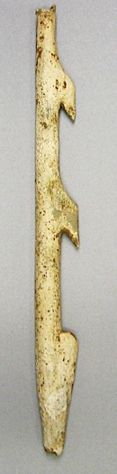 Inside the Collections - HOCU 3561 (U.S. National Park Service)