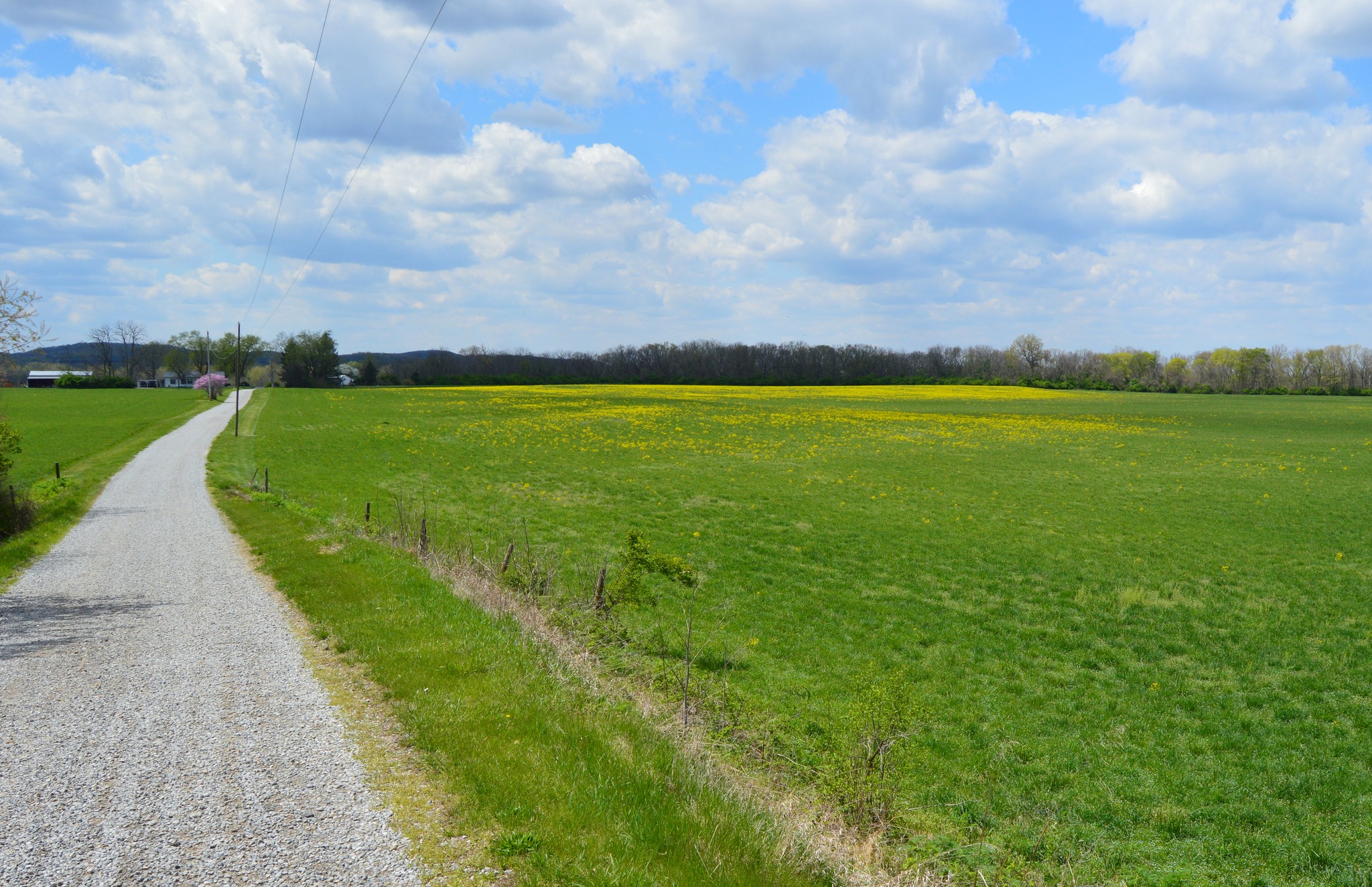High Bank Works - Hopewell Culture National Historical Park (U.S ...