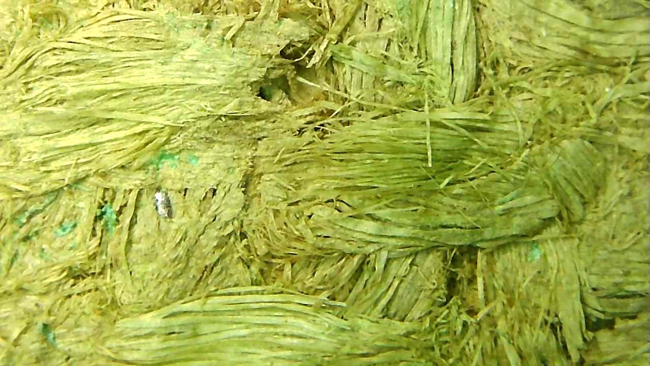 Inside the Collections - HOCU 4048 (U.S. National Park Service)