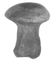 Inside the Collections - HOCU 2683 (U.S. National Park Service)