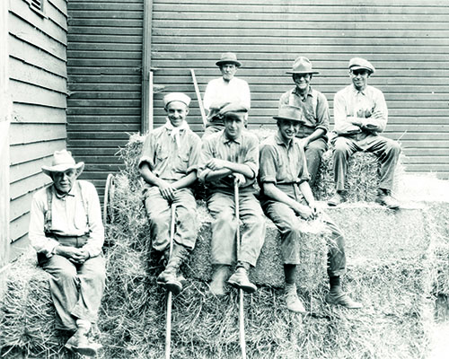 The Home Farm - Home Of Franklin D Roosevelt National Historic Site (U ...