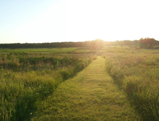 Hiking Trails - Homestead National Historical Park (U.S. National Park ...