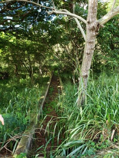 Park Planning - Honouliuli National Historic Site (U.S. National Park ...