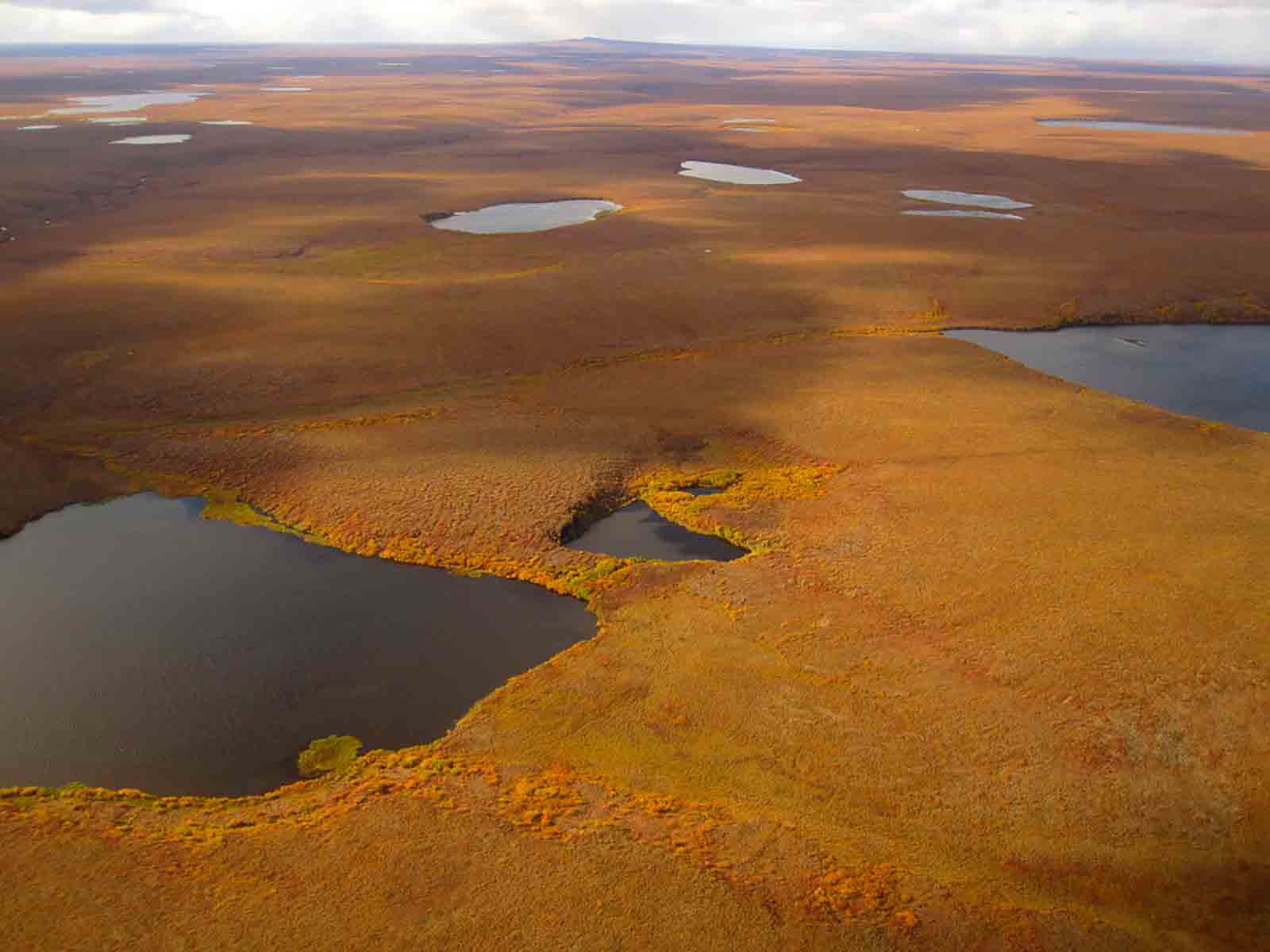 Bering Land Bridge National Preserve (U.S. National Park Service)