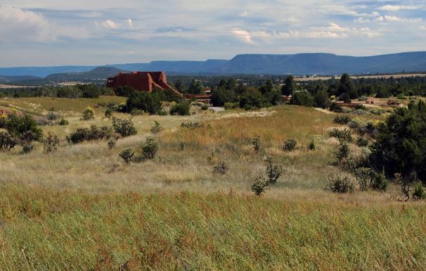 Vegetation Inventory and Map for Pecos National Historical Park (U.S ...