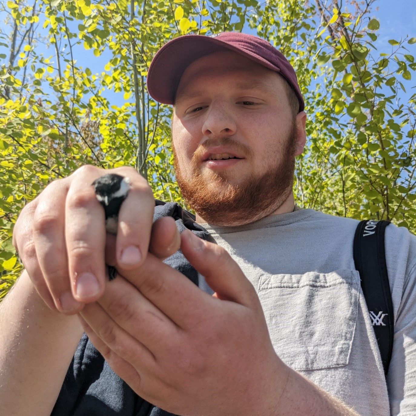 Meet the Staff (U.S. National Park Service)