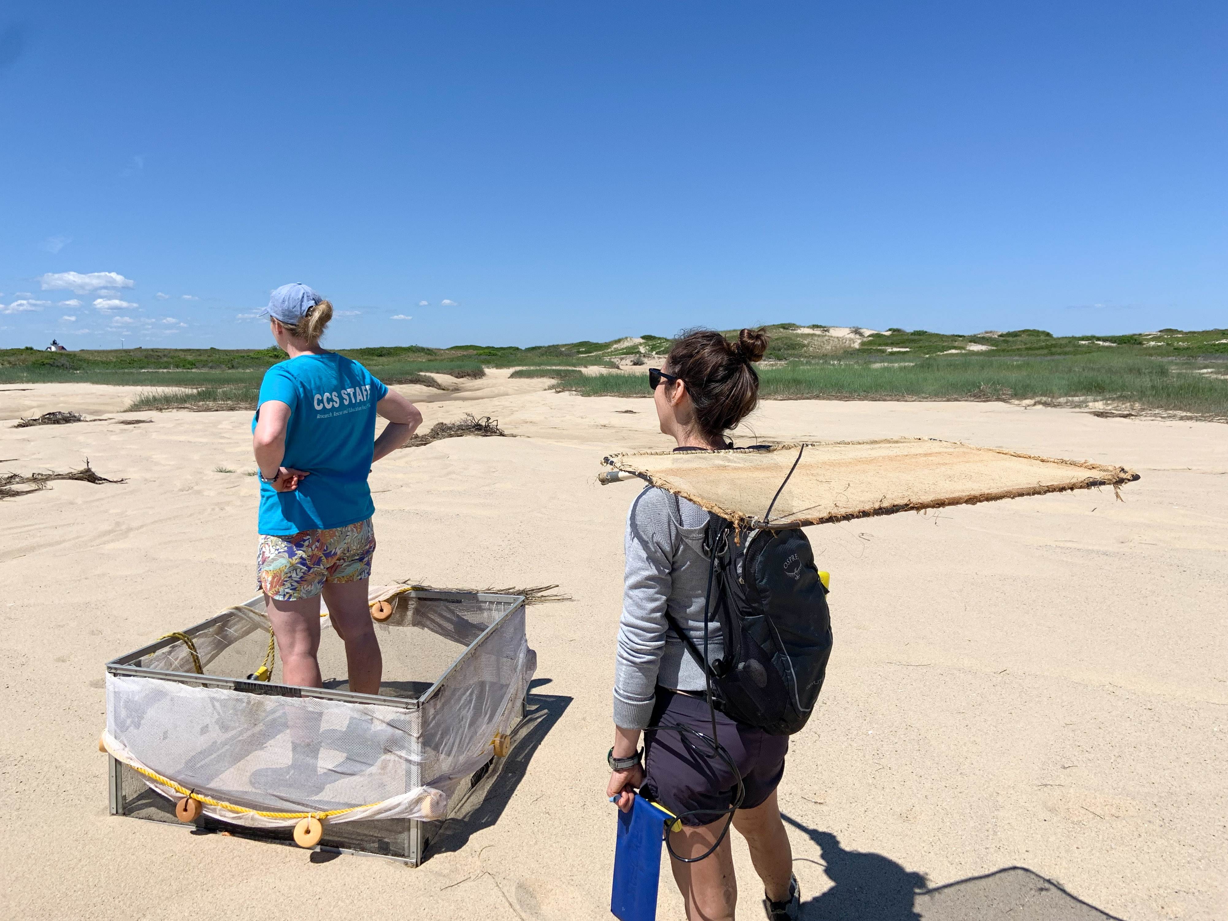 Photos from Cape Cod National Seashore (U.S. National Park Service)