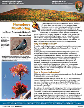 Phenology Monitoring in Northeast Temperate Network Parks (U.S ...