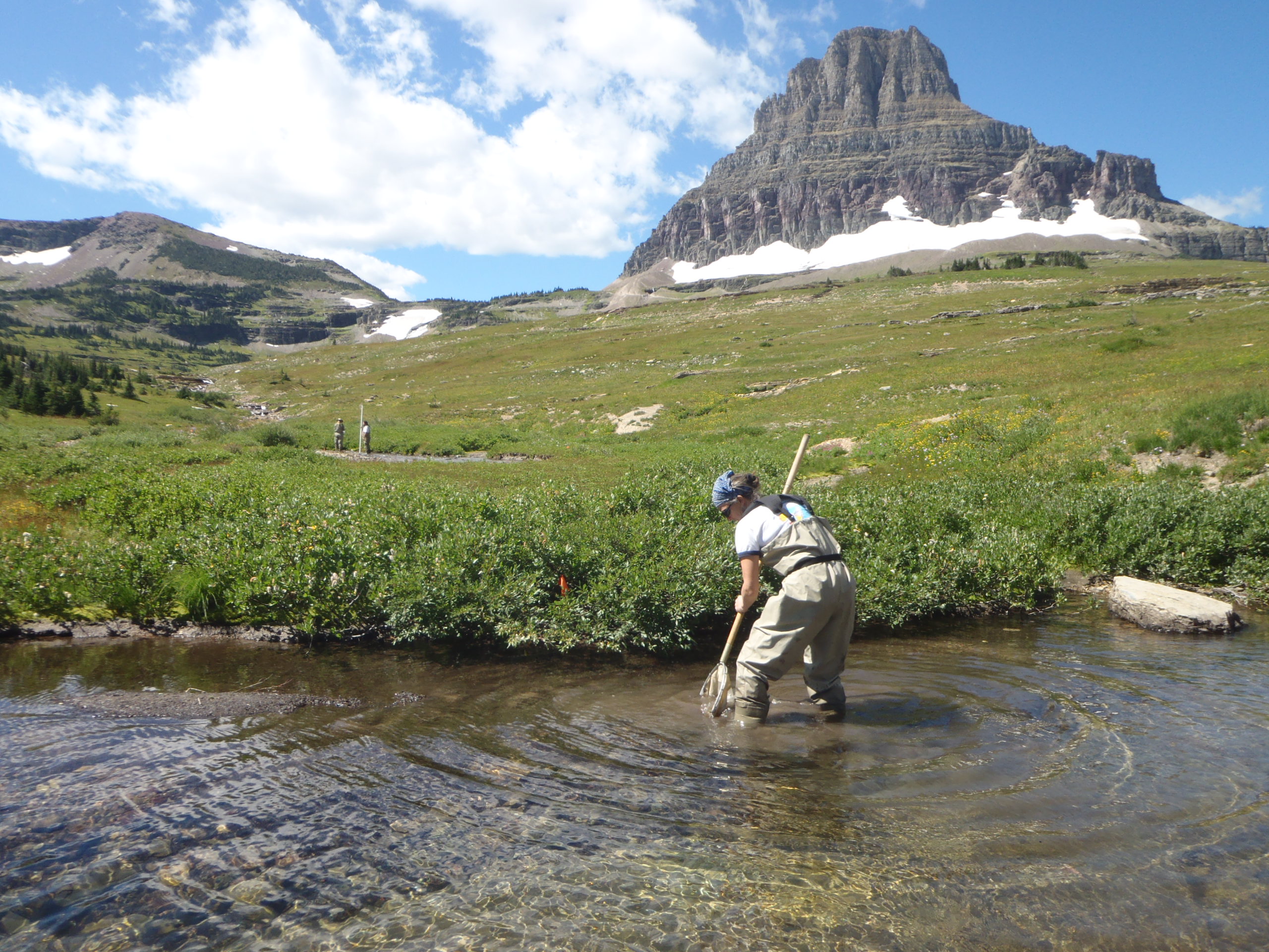 Inventory and Monitoring at Glacier National Park (U.S. National Park ...