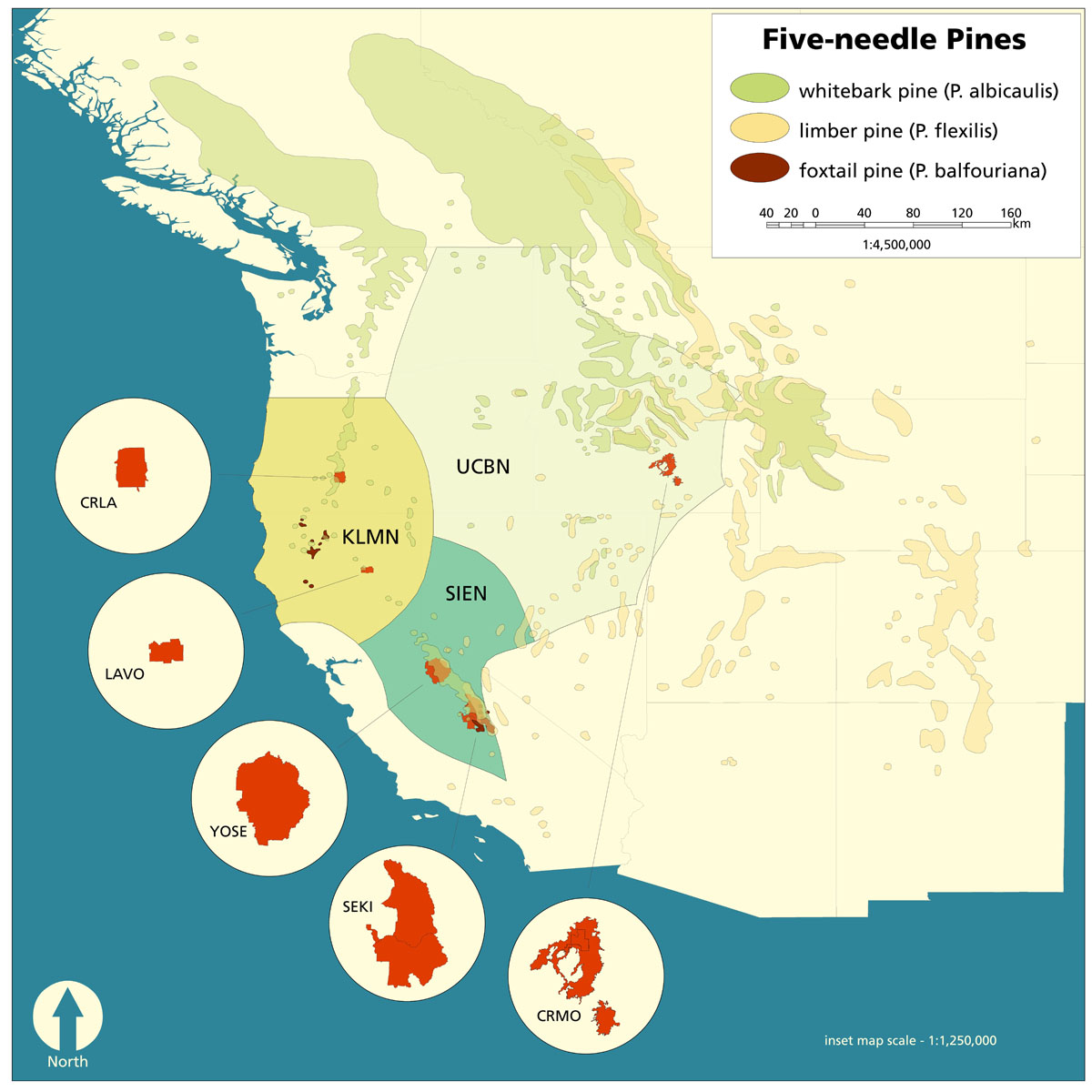High-Elevation Forest Monitoring (U.S. National Park Service)