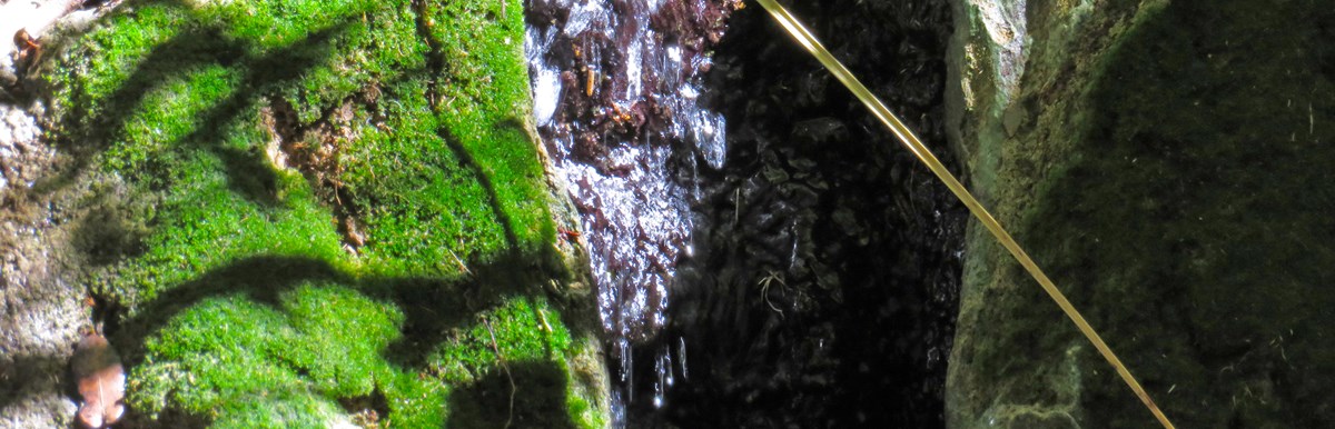 Climate and Water Monitoring at Chiricahua National Monument, Coronado ...