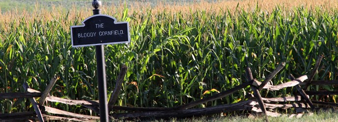 Tour Stop 4 - The Cornfield - Antietam National Battlefield (U.S ...
