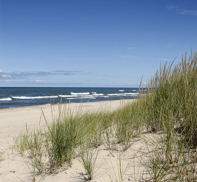 Beach Cruisers - Indiana Dunes National Park (U.S. National Park Service)