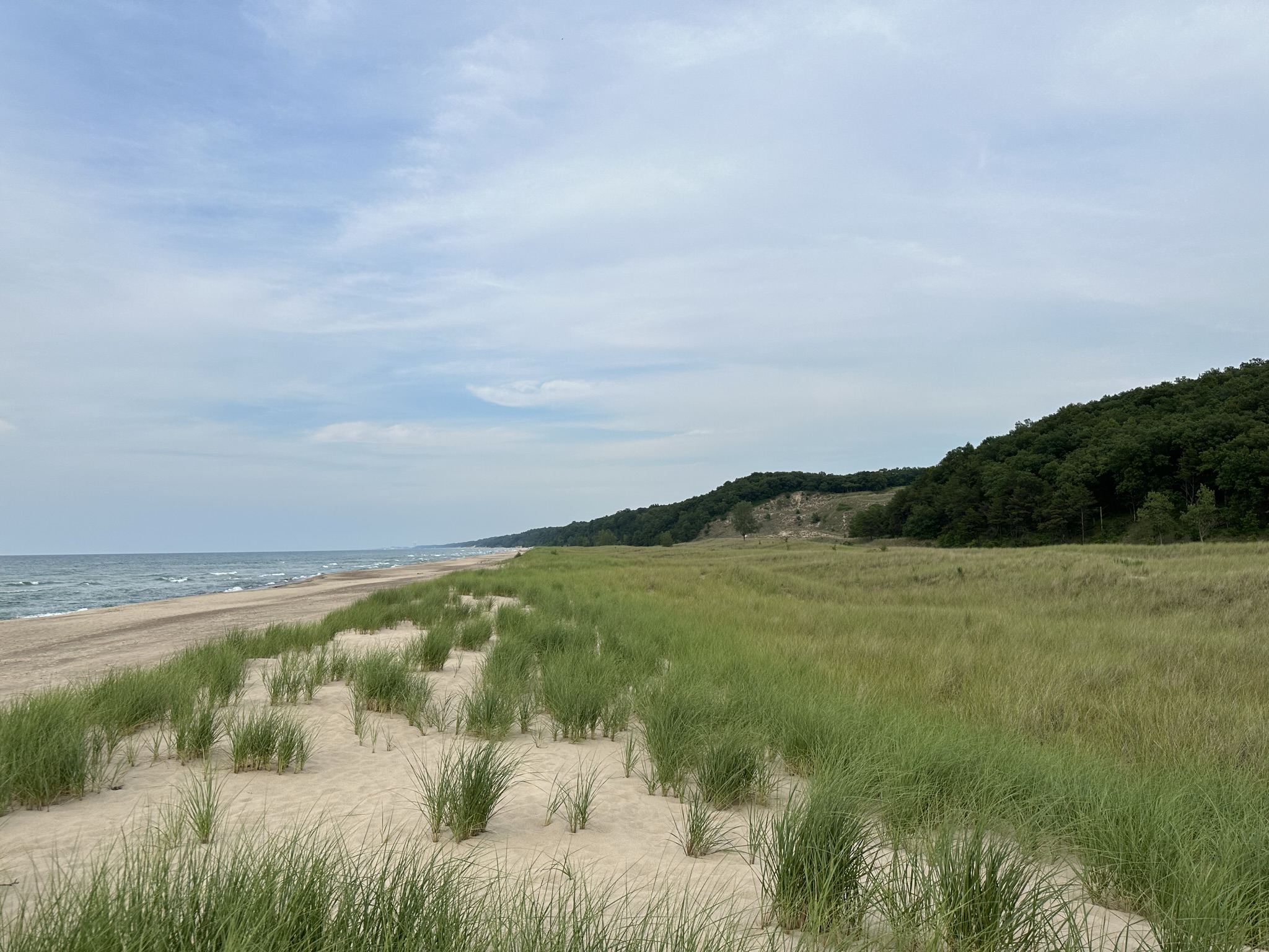 Plant Succession - Indiana Dunes National Park (U.S. National Park Service)