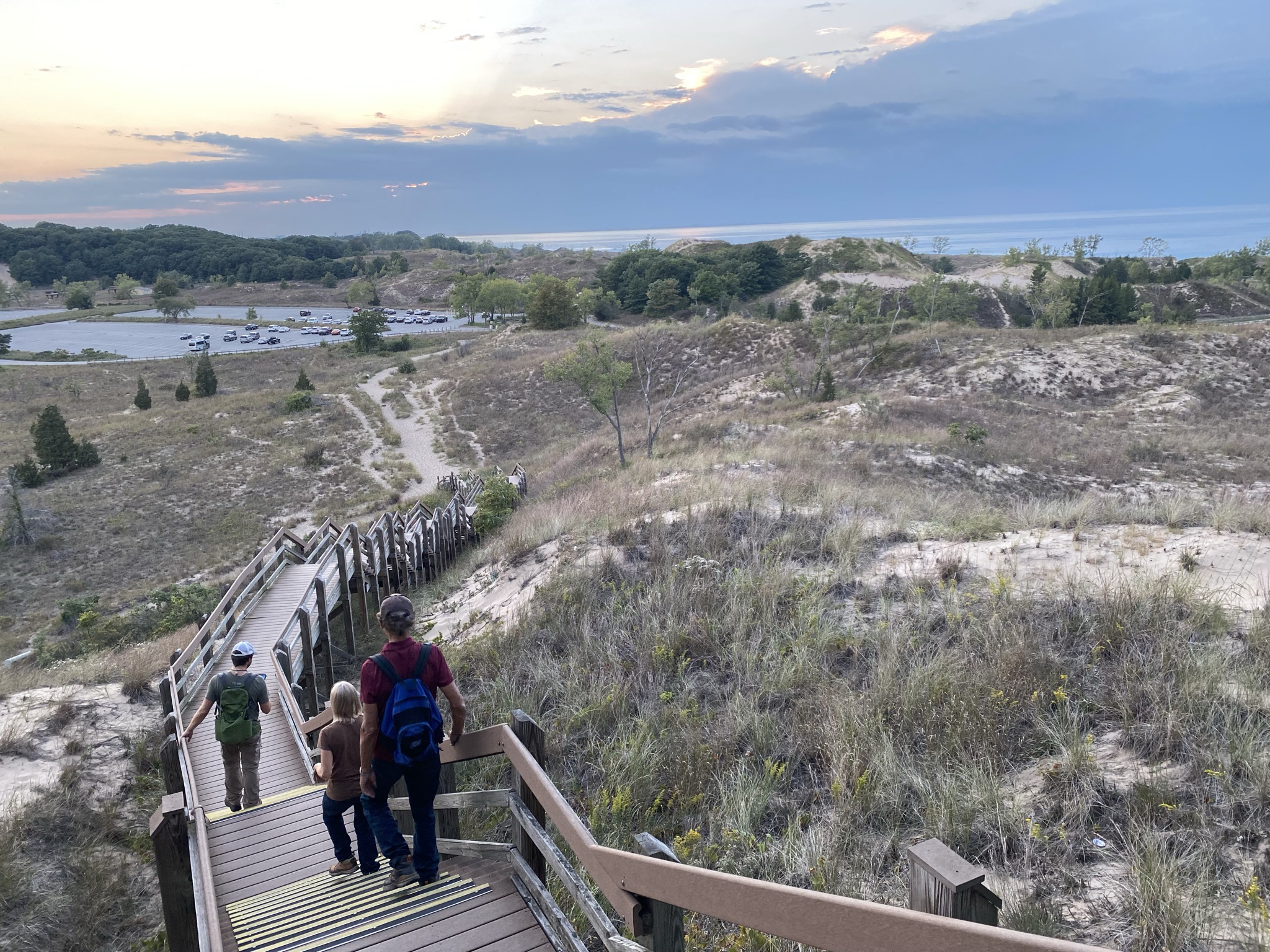 Plant Succession - Indiana Dunes National Park (U.S. National Park Service)