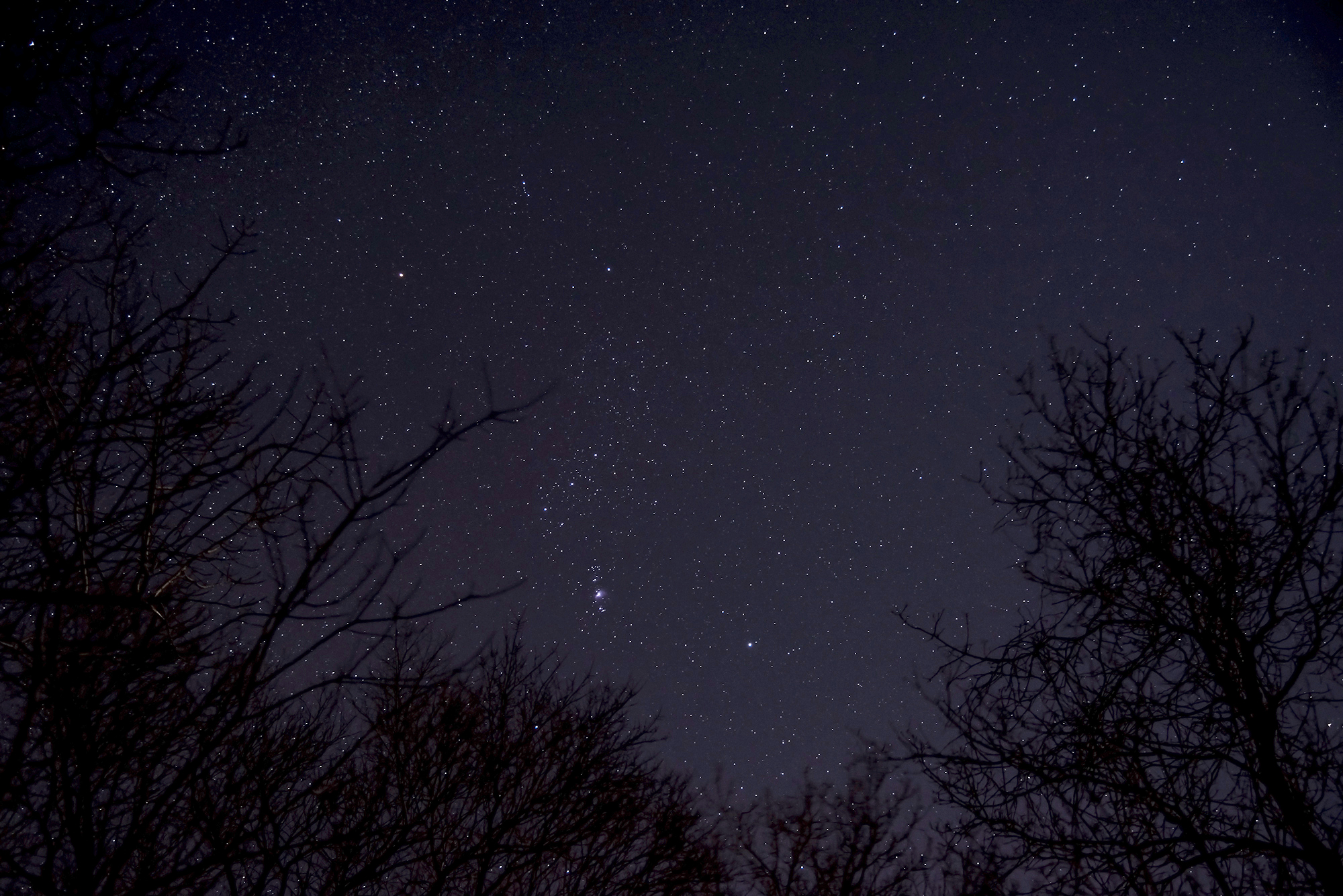 Stargazing - Indiana Dunes National Park (U.S. National Park Service)