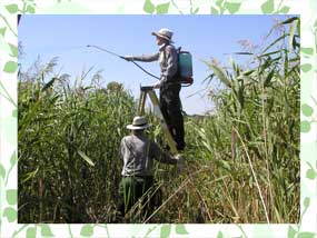 Cowles Bog Restoration Project - Indiana Dunes National Park (U.S ...