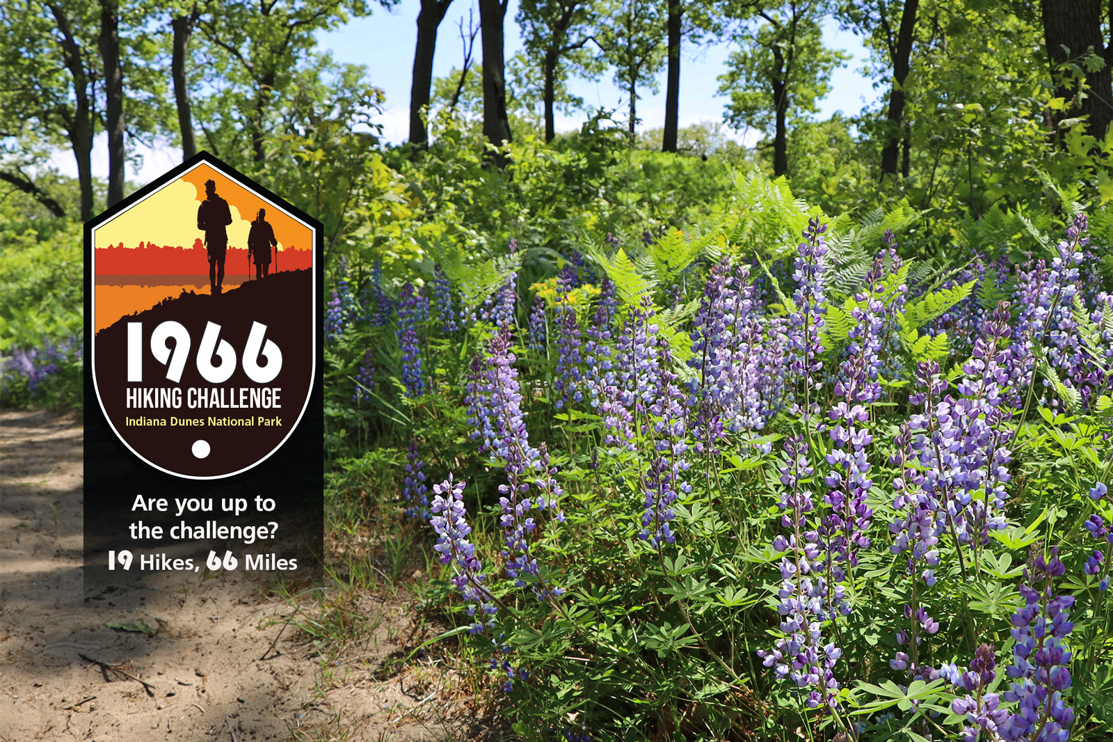 1966 Hiking Challenge: Miller Woods (Paul H. Douglas Trail) - Indiana ...